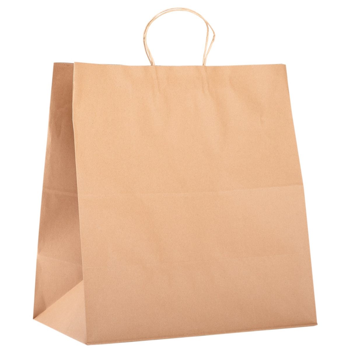 Paper Shopping Bag with Twisted Handles, Newport (Kraft) - Keary Website
