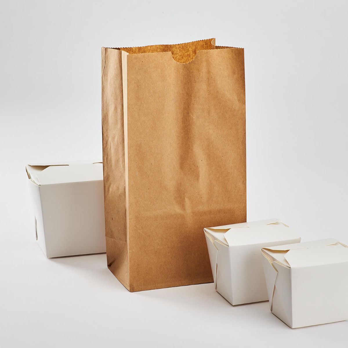 4 lbs Paper Bag (Kraft) - Keary Website